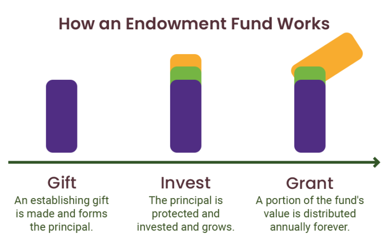 The Power of Endowments | Sequoyah School