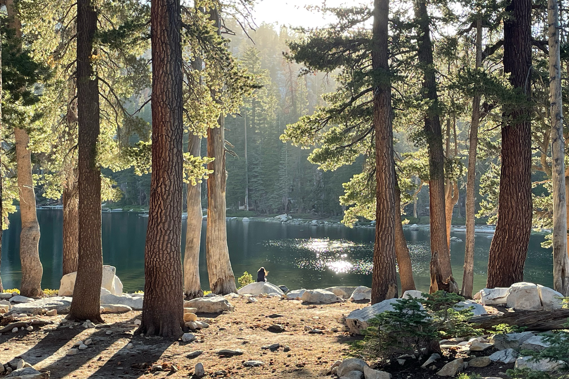 Field Studies Summer Adventures | Sequoyah School