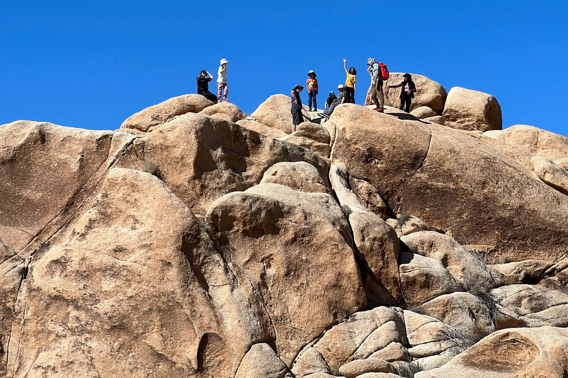 Joshua Tree | Field Studies | Sequoyah School